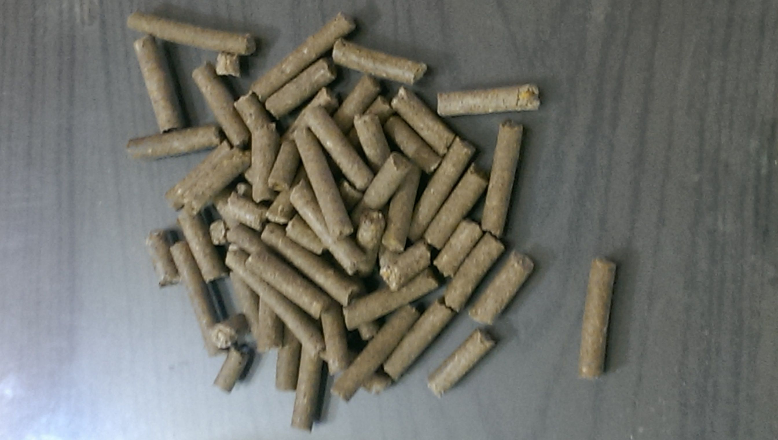 Buy Sheep Feed from Yembroos Animal Feeds India Private Limited, India ...
