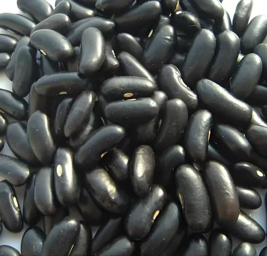 Buy Black Kidney Beans Long Black Kidney Bean from Markco Polo ...