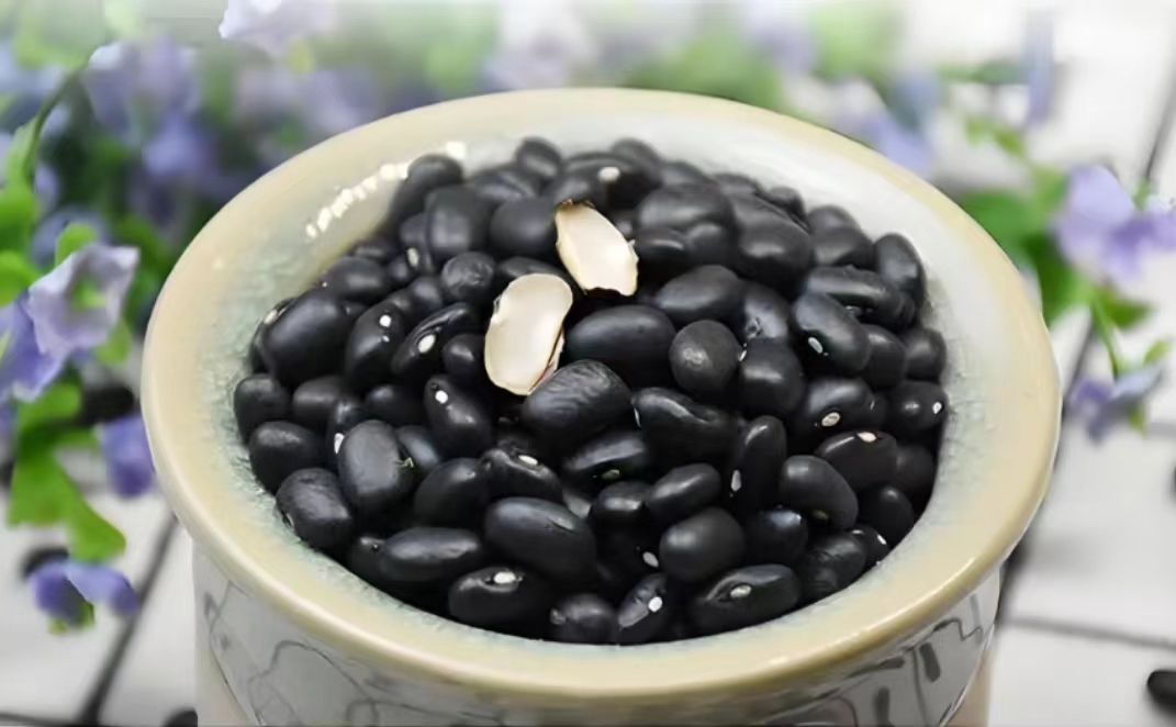 Buy Black Kidney Beans Long Black Kidney Bean from Markco Polo ...