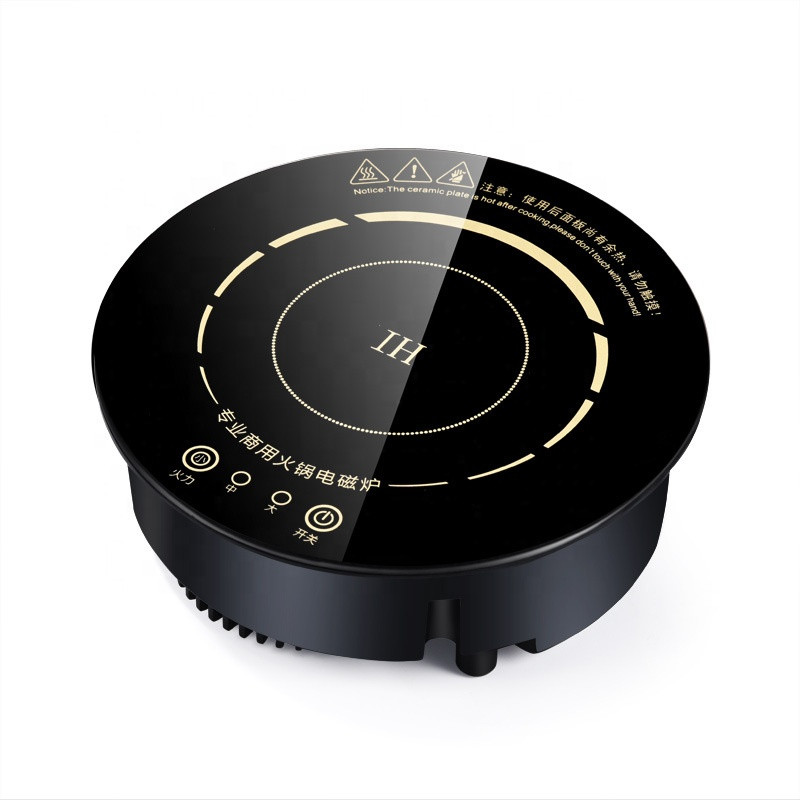 Buy 110v /220v Build In Commercial Electric 800w Induction Cooker Hot ...