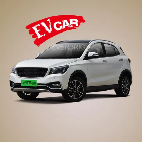 Buy 2021 L7e Eec Electric Pickup Truck Cargo Van Vehicle 4 Wheels Cheap ...
