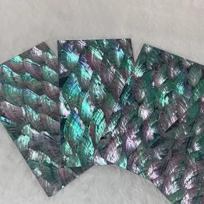 Buy Abalone Shell Veneer, Shell Sheet For Furniture Inlay Guitar ...
