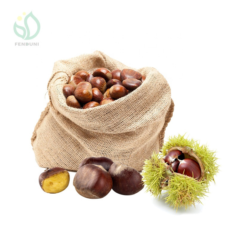 Buy Chinese Fresh Sweet Chestnut - Best Taste - Hot Sale!!! from Jining ...