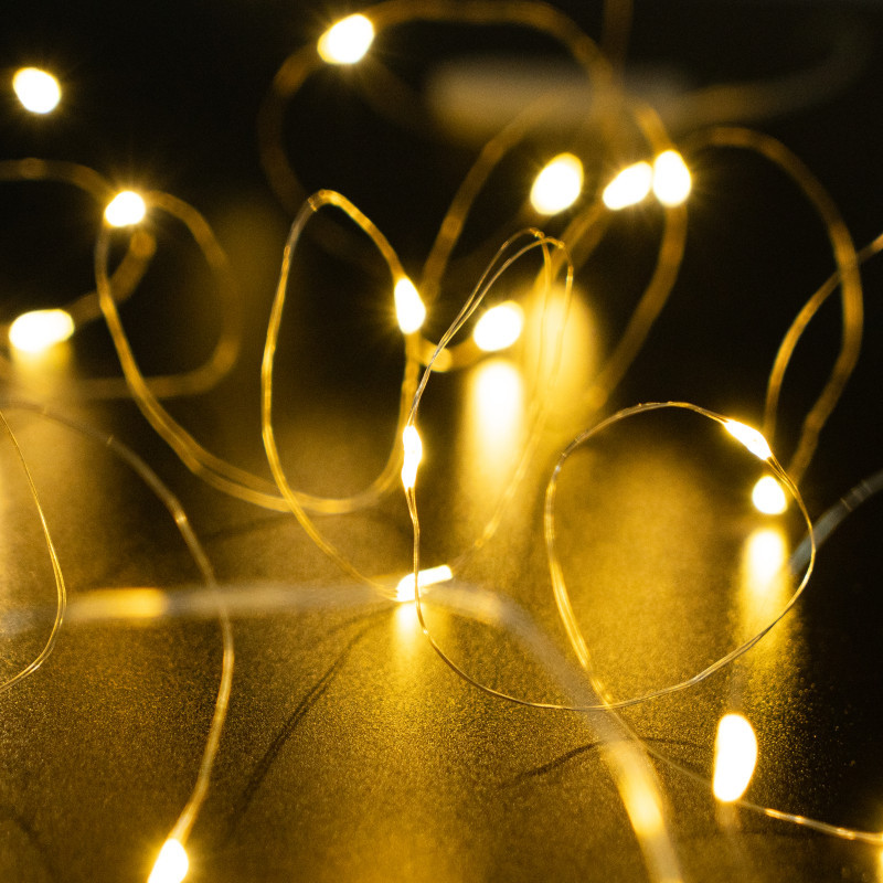 Buy Cr2032 Button Battery Operated String Led Light Led Lights/rice Led ...