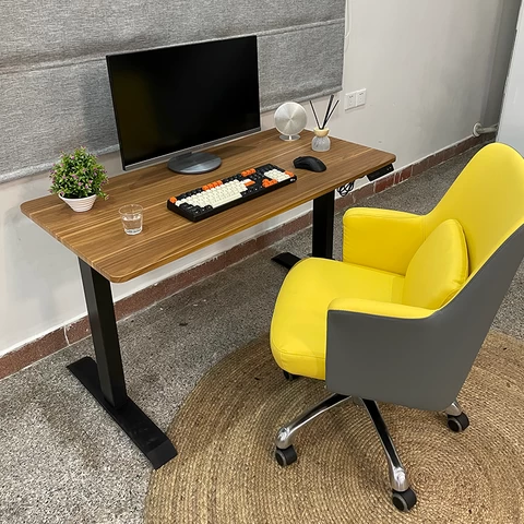 Buy Electric Adjustable Computer Desk Home Office Uplift Desks Sit ...