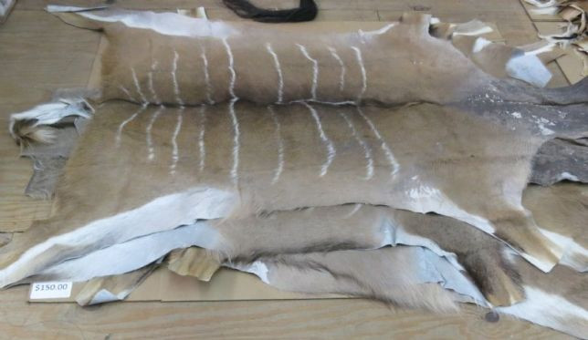 Buy High Quality Dry And Wet Salted Donkey/wet Salted Cow Hides /cow ...