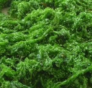 Buy Natural Dried Seaweed Powder from G&G CONCEPT COMPANY LIMITED ...