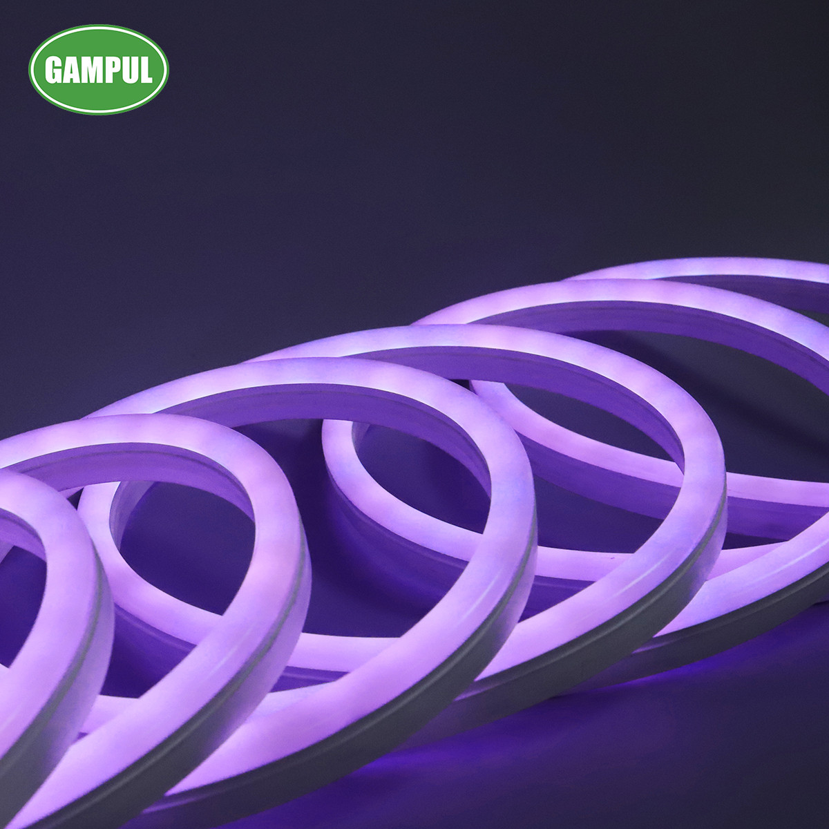 Buy New Arrival Color Changed Flexible Led Decorative Neon Light ...