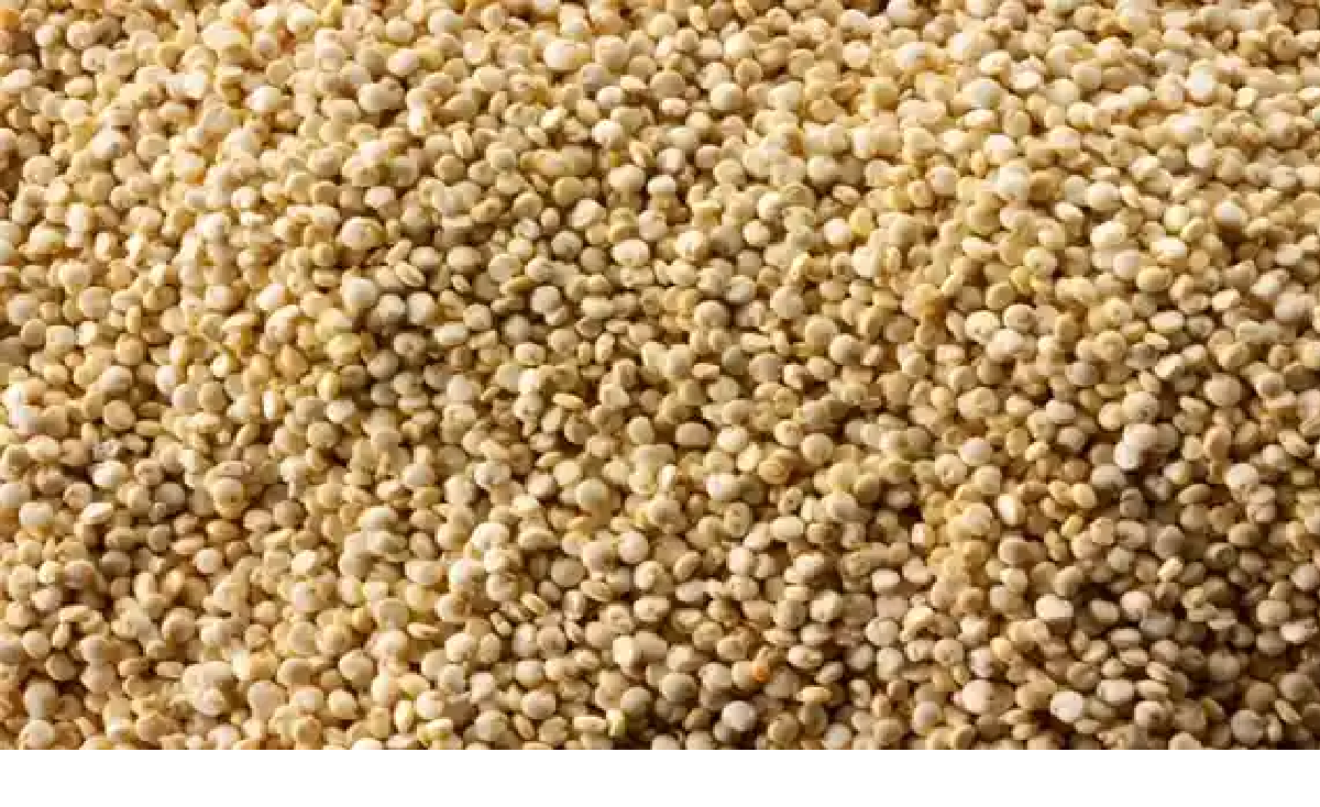 Buy Organic Fonio Grains – Ancient Superfood For Modern Living from ...