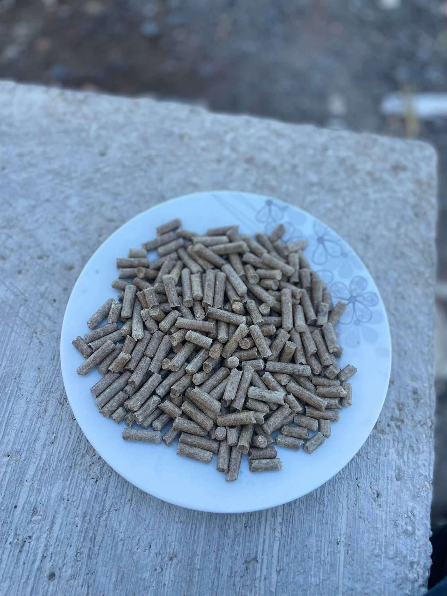 Buy Wood Pellet, Wood Briquets from Reger Int'l Trade and Consultancy Ltd, Republic of Türkiye ...
