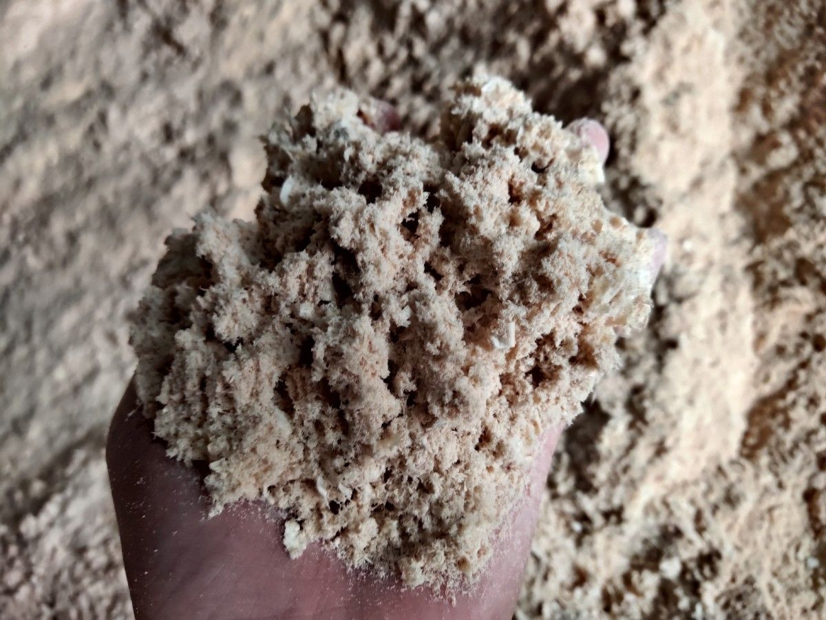 Buy Wood Powder 80m from GBTVN, Vietnam | Tradewheel.com