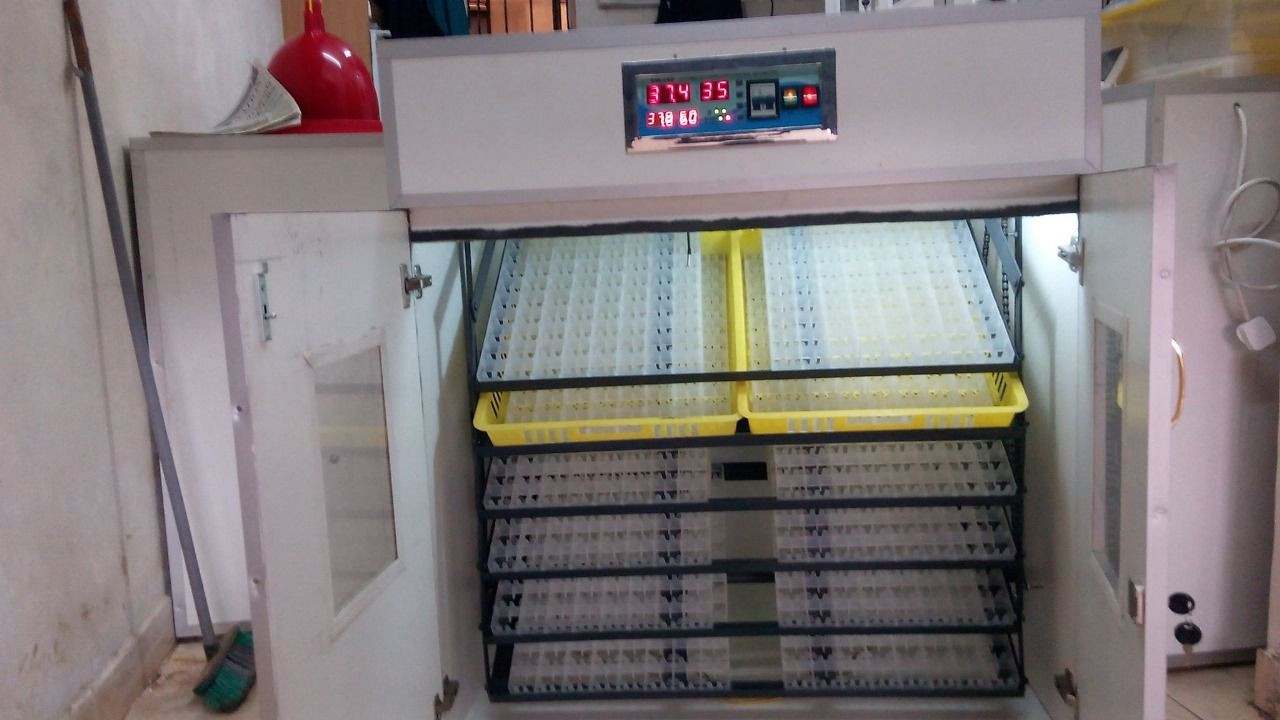 Buy Incubators For Sale from AFRICA ASPIDUS COMMODITY TRADERS, South ...