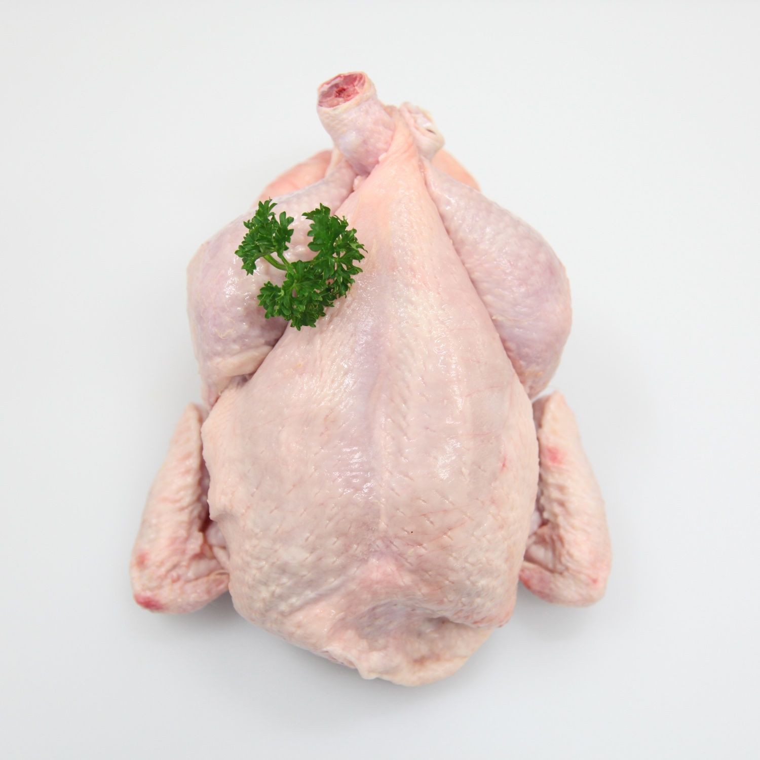 Buy Frozen Chicken Packed For Maximum Freshness Ideal For Large Scale ...