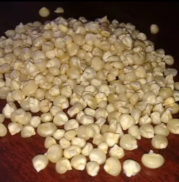 Buy Yellow Corn/ White Corn For Human Consumption Non Gmo from Cobra ...