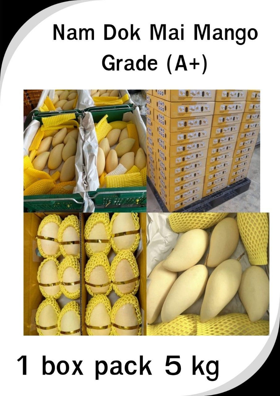 Buy Nam Dok Mai Mango from Poolsap fruit export company co., Ltd ...