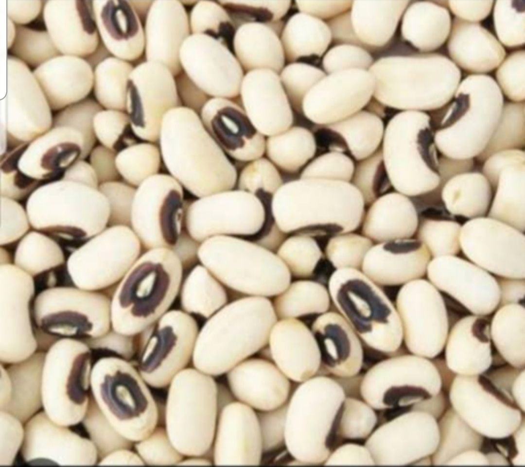 Buy Black Eyed Beans from Virginland Environmental Services Ltd ...