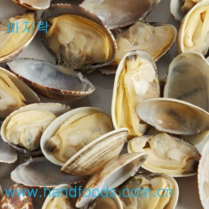 Buy Frozen Cooked Clam from Hand Foods (Dalian) Co., Ltd., China ...