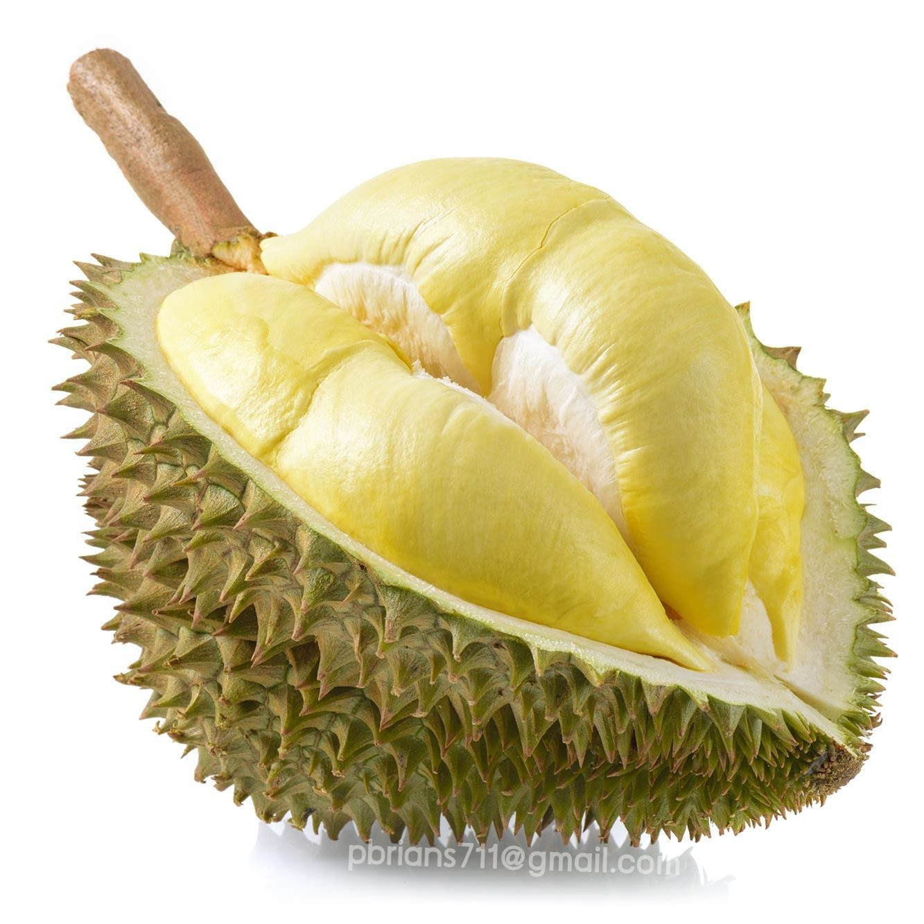 Buy Durian Fruit from LINDILE AND SONS SUPPLIES PTY LTD, South Africa ...