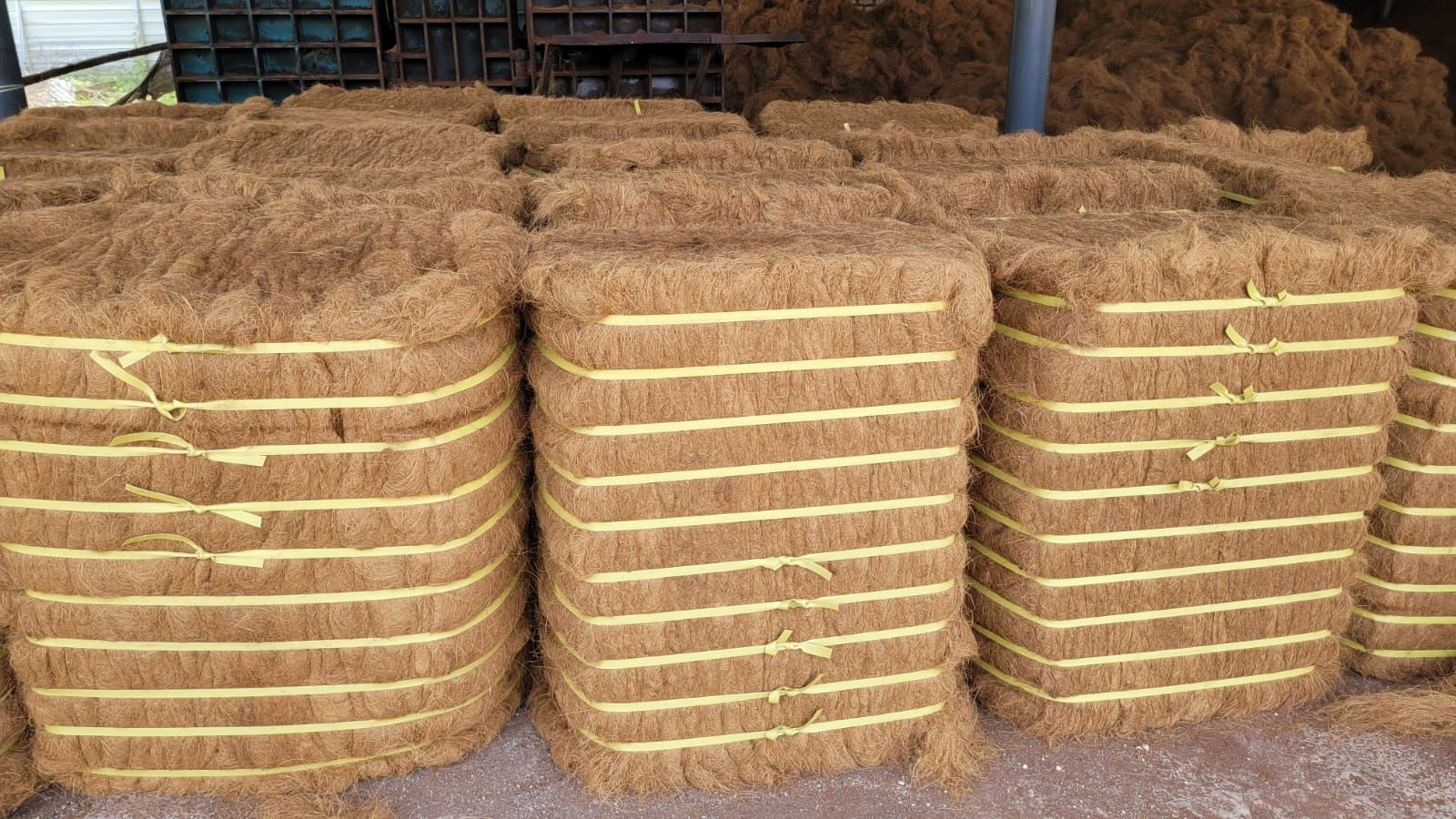 Buy Sell Coconut Fiber Cocofiber For Making Mattress, Car Seat, Plant ...