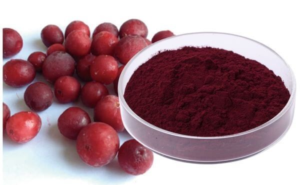 Buy Cranberry Extract 25% Proanthocyanidins Uv from Xuancheng Quality ...