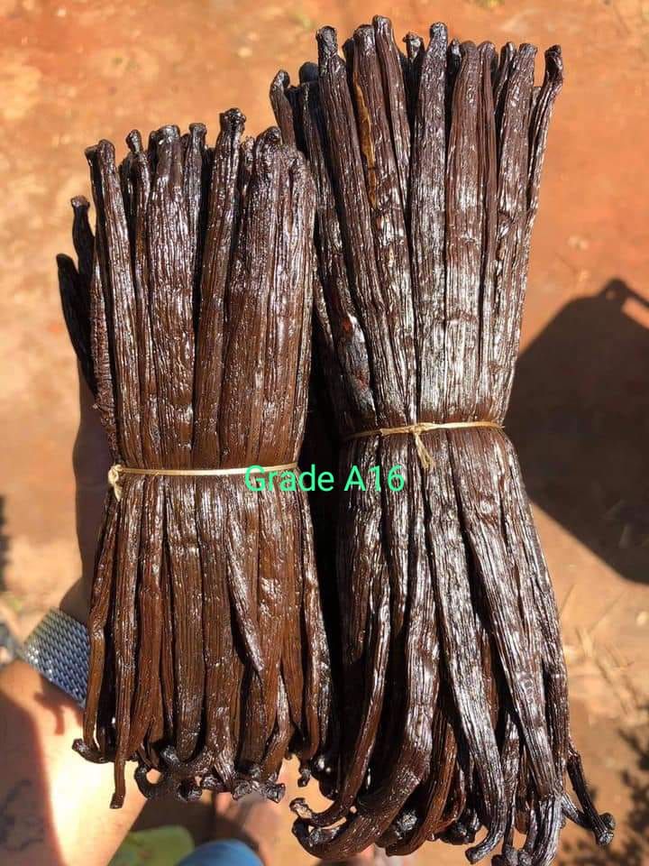 Buy Vanilla Beans Grade A Origin Uganda from Sema Oil Limited, Uganda ...