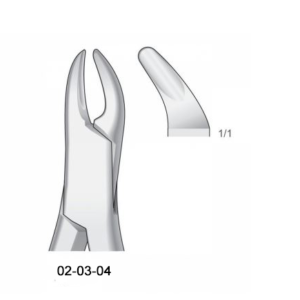 Buy Tooth Extracting Forceps| (amr) Incisors And Bicuspids 1 from ...