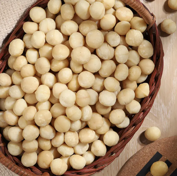 Buy High Quality Macadamia Nuts Sweet Milky Flavor Nut Dried Fruit ...