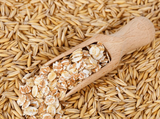 Buy Wholesale Oat Supply – Premium Quality And Reliable Partnership ...