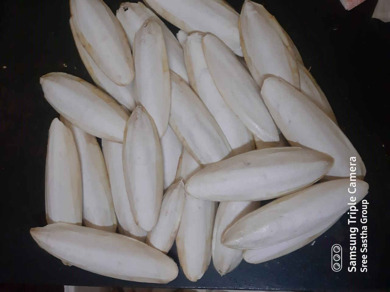 Buy Dried Cuttlefish Bone (cuttlebone) Untrimmed, Washed And Sun Dried from Royal Gulf ...