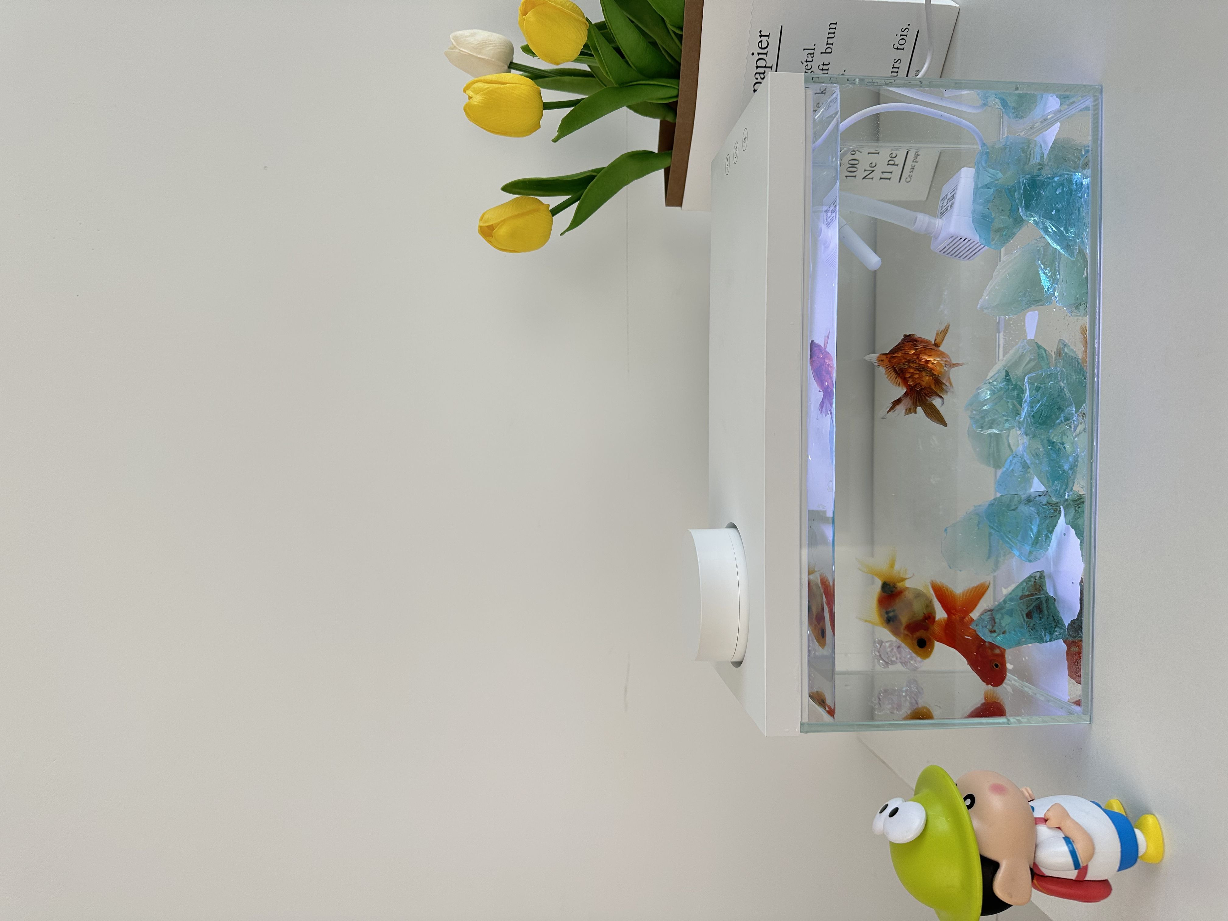 Buy Fish Tank Smart Desktop Fish Tank Aquarium Glass Tank from Anhui ...