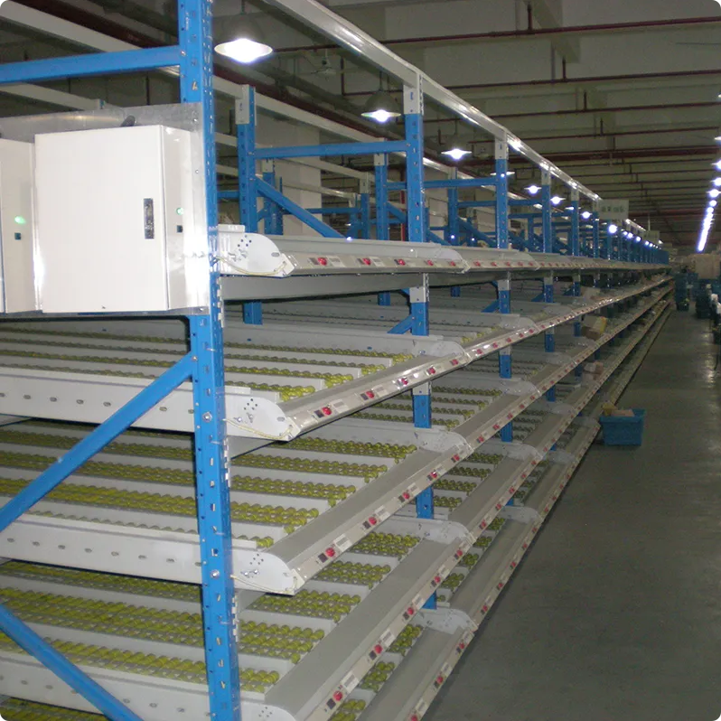 Buy Flow Through Racking From Jiangsu Lazio Intelligent Equipment Co Ltd China