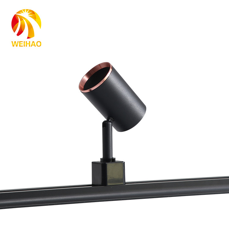 Buy 360 Degree Adjustable 2 Wire Track Light 1 Phase Adaptor Track Rail ...