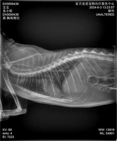 Buy Animal Imaging Machine 32kw High Power Generator Imaging System ...