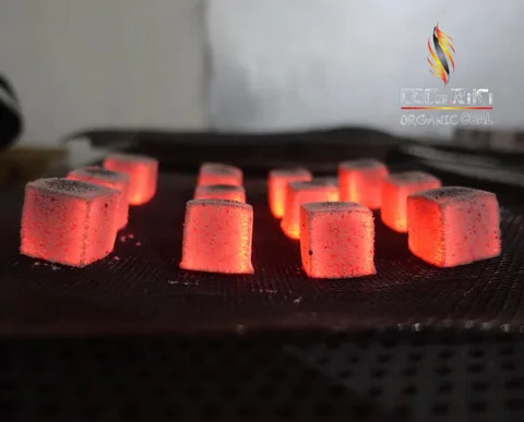 Buy Cube Coconut Charcoal For Shisha Hookah Incense 100% Coconut Shell ...