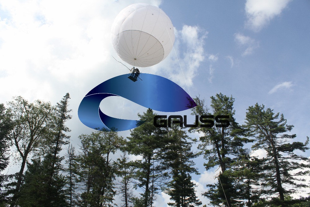 Buy Inflatable Balloon For Pine Nuts/pine Nuts/ Pine Nuts Balloon from ...