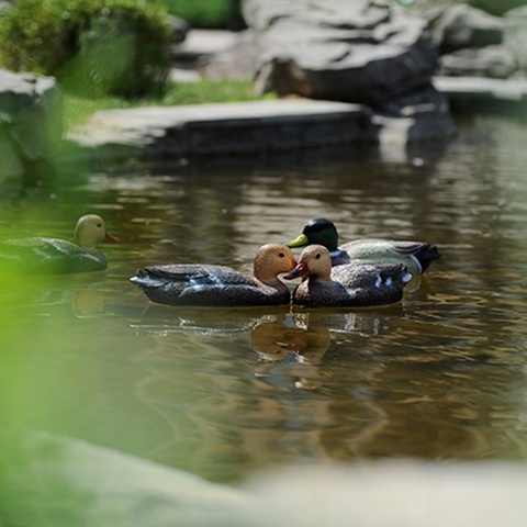 Buy Injection Molding Hunting Props Plastic Hunting Decoy Duck ...