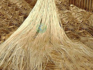 Buy Jute Kenaf/ Meshta from MADINA AGRO, Bangladesh | Tradewheel.com