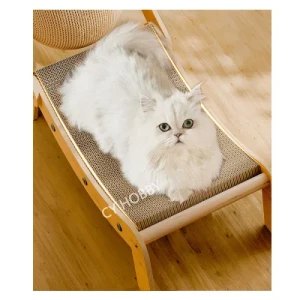 Buy Lounge Cat Scratch Broad Pet Play Broad Sleep Bed Can Play Can ...