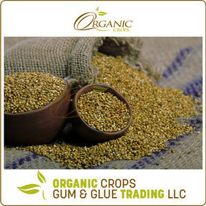 Buy Low Market Price Natural Organic Millet Seed from ORGANIC CROPS GUM ...