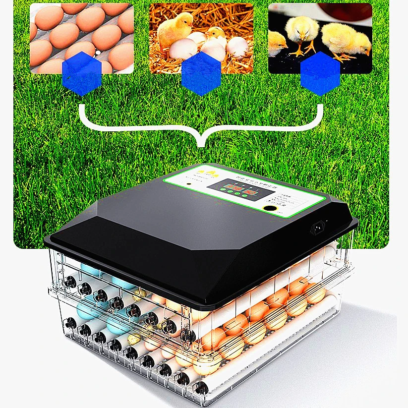 Buy New Model 64-t Mini Egg Incubator Farm Solar Egg Incubator Ac220v ...