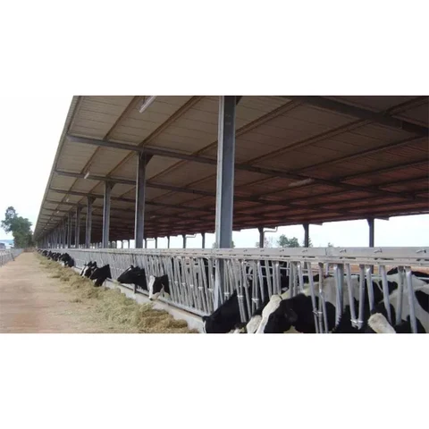 Buy Prefabricated Steel Structure Design Livestock Farm Shed Goat ...