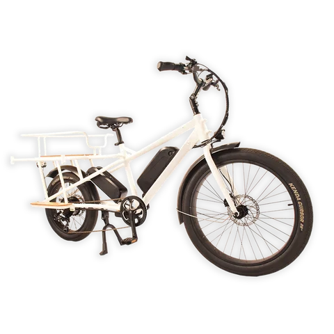 Buy Raiderwagon-602s 48v With Single And Dual-battery Electric Utility ...