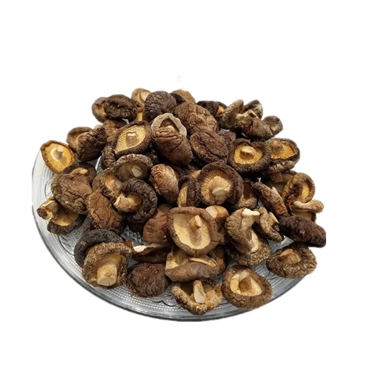 Buy Special Grade Dried Shiitake Mushroom Stem / Shiitake Mushroom ...