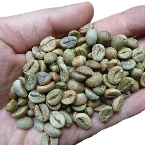 Buy 100% Top Quality Robusta Grade 1 Screen 18 Clean - Best Ready Raw ...
