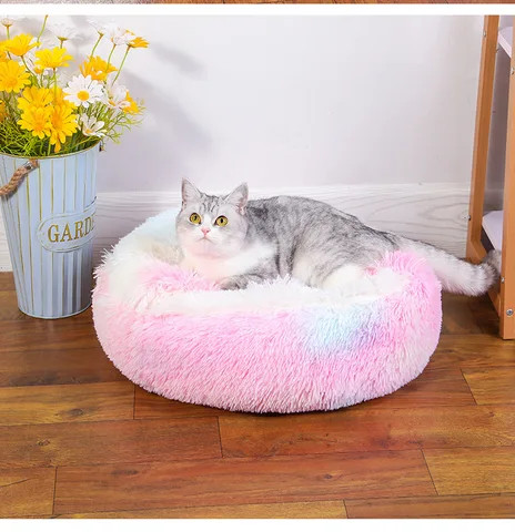Buy Winter Warm Velvet Plush Gradient Shell Semi-enclosed Extra Large ...