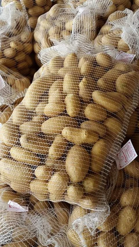 Buy Fresh Potatoes from Eagle Pak International, Pakistan | Tradewheel.com