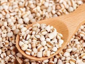 Buy Coix Seed Rice from Hangzhou Shengshifanghua Catering Technology ...