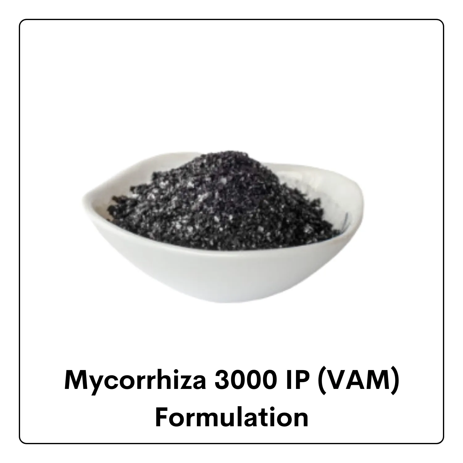 Buy Mycorrhiza 3000 Ip (vam) from Unicrop biochem, India | Tradewheel.com