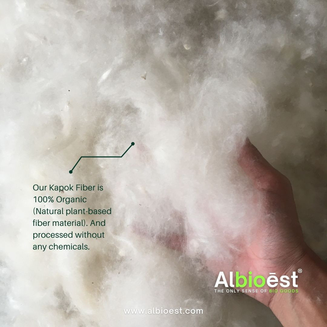 Buy Kapok Fiber from PT. Albioest Intiberkah Madani, Indonesia ...