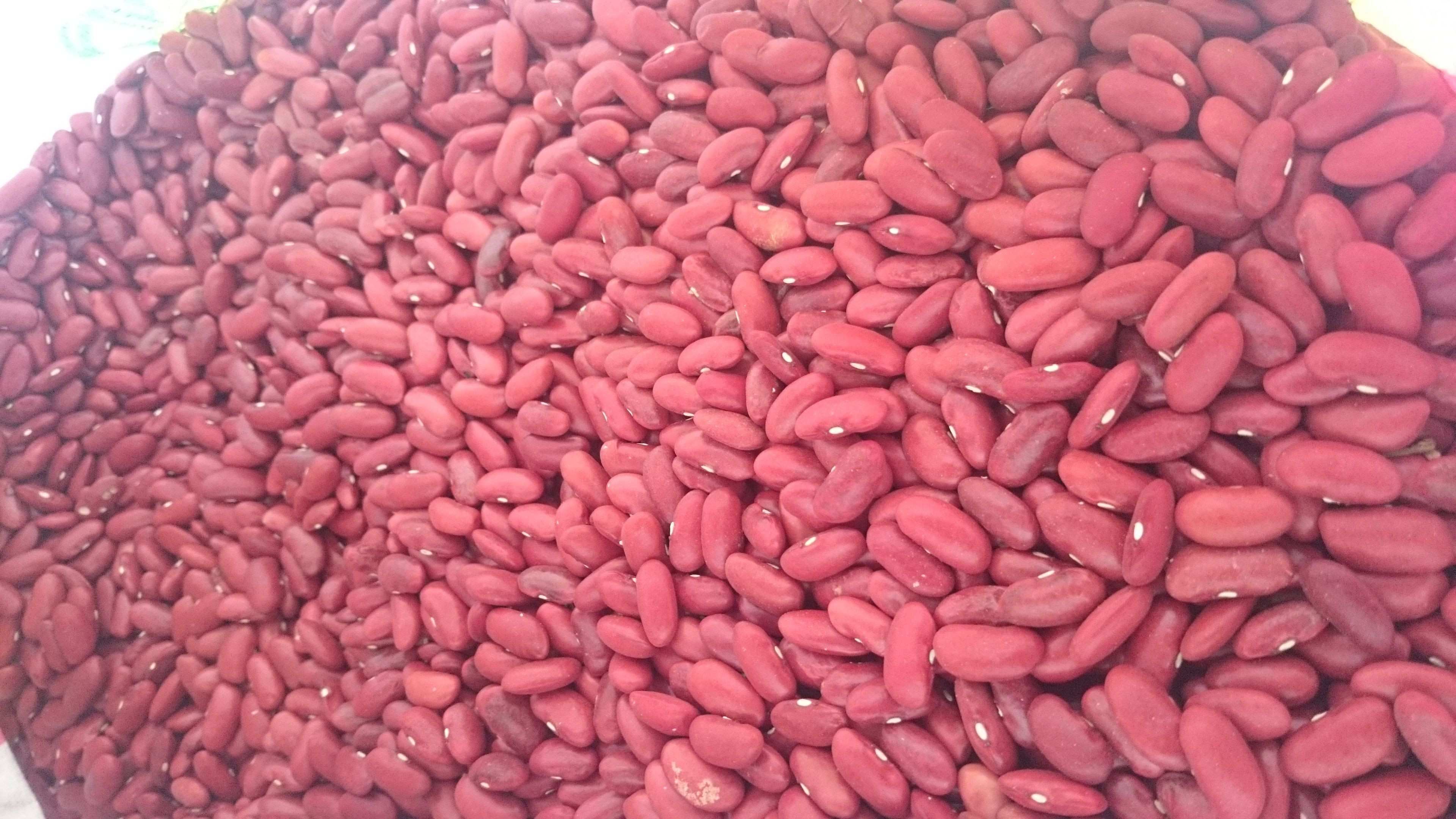 Buy Red Kidney Beans from ASHIRWAD TRADING CO. LTD, Thailand ...